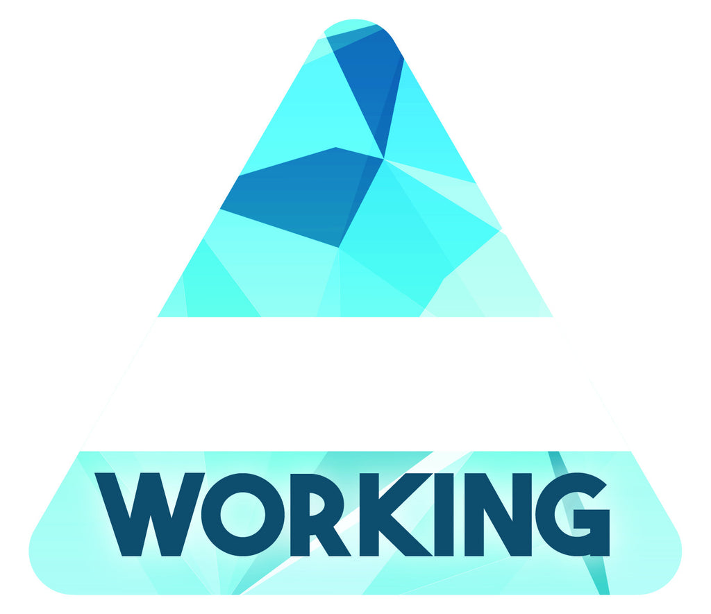 Holographic Tour Passes and Badges - Order Today and Receive Tomorrow ...